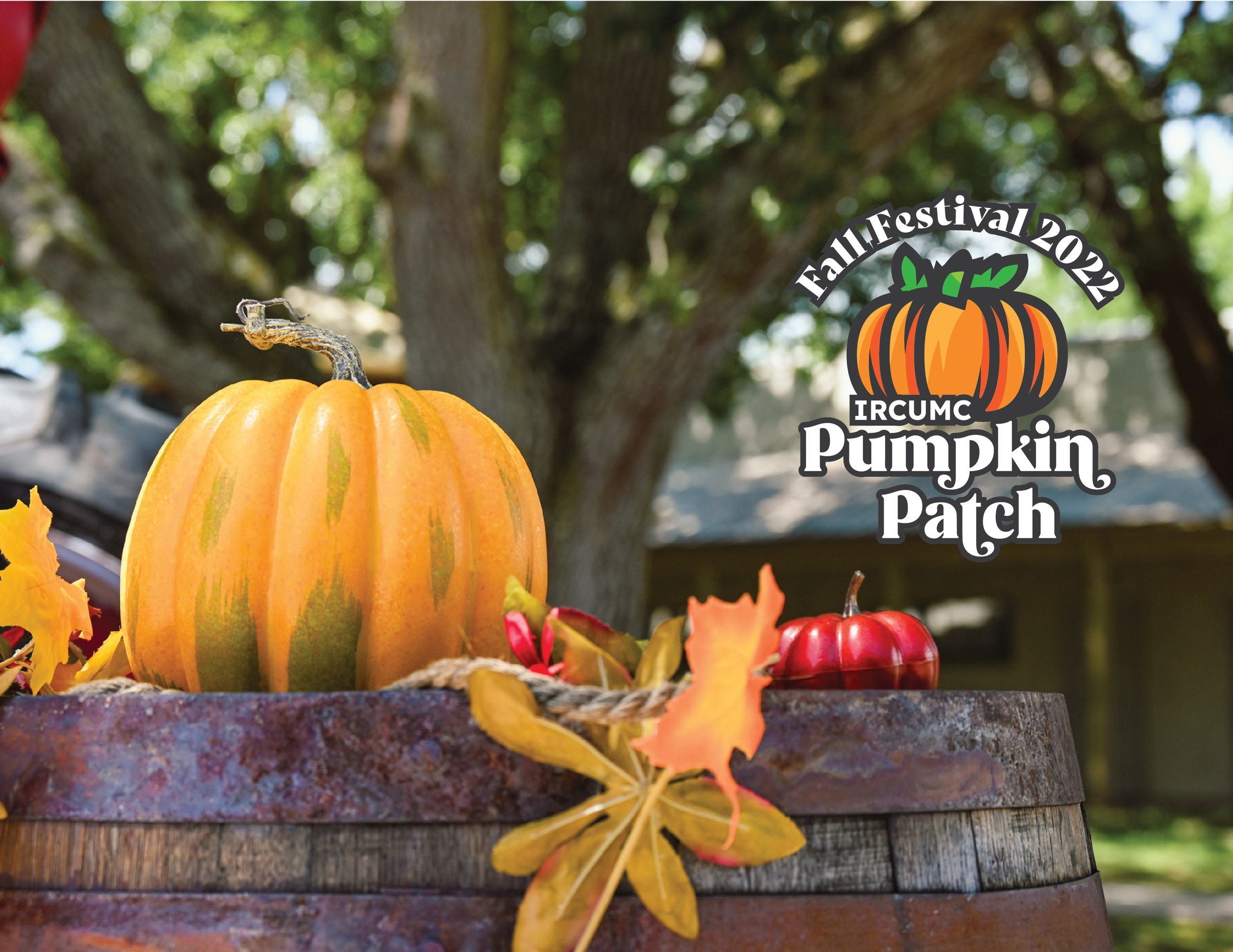 bestpumpkinpatch.org